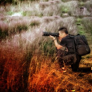 摄影师 - 滨海扬帆BHYF_摄影作品主页 - 500px摄影社区