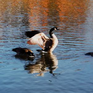 摄影师 - 南飞·Helen_摄影作品主页 - 500px摄影社区