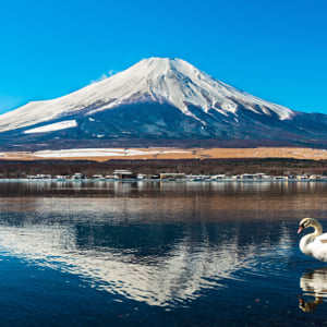 摄影师 - Mike Su_摄影作品主页 - 500px摄影社区