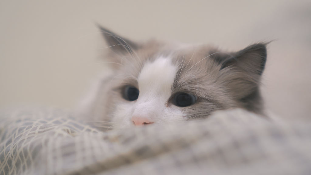 FUJIFILM富家子弟精选 - 摄影部落 - 500px摄影社区